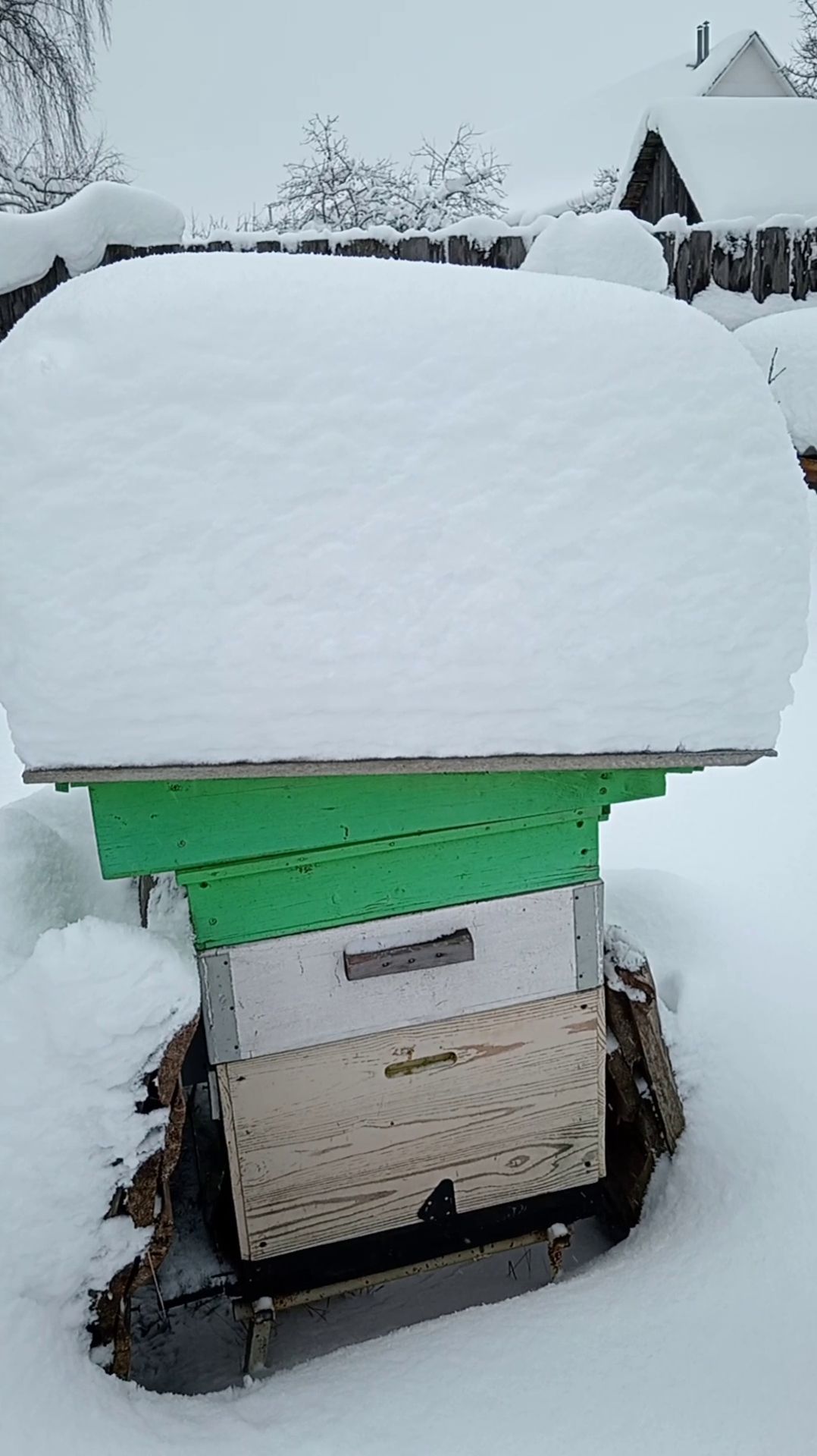 Зимовка Пчёл - январь 2026