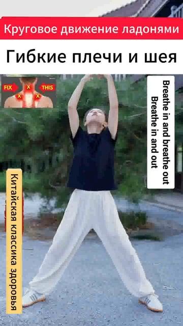 Гибкие плечи и шея
