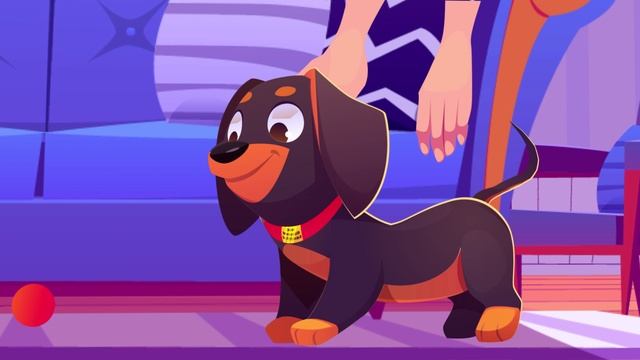 Правила прогулки