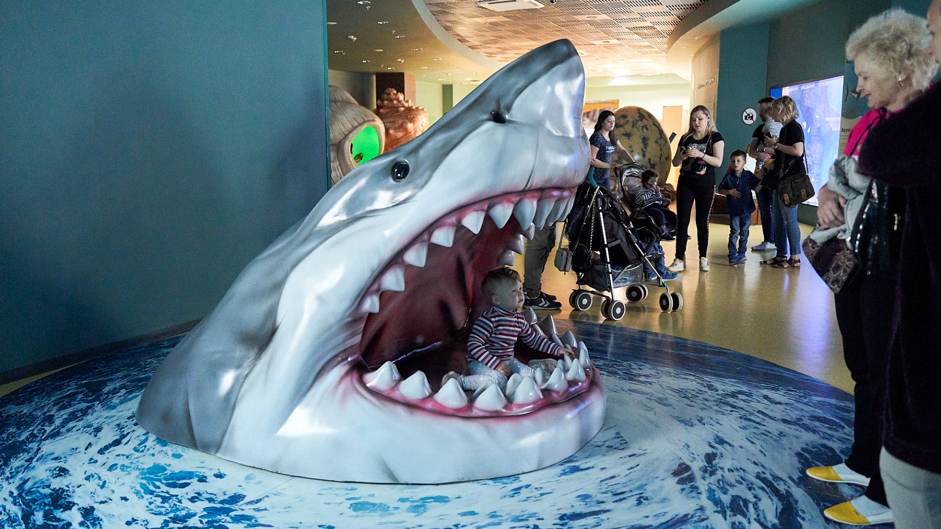 Фото-зона "Акула" из стеклопластика для "Москвариум". г. Москва.