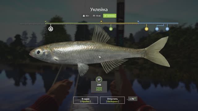 РР4 Вьюнок. Уклейка и лягушка.