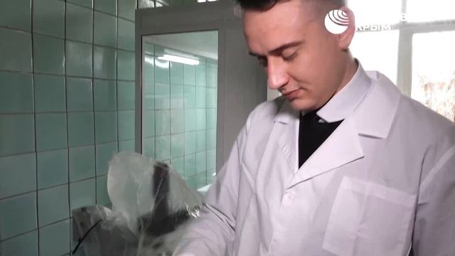 👨💻 От прозрачных магнитов к 6G: как физика меняет медицину и интернет.