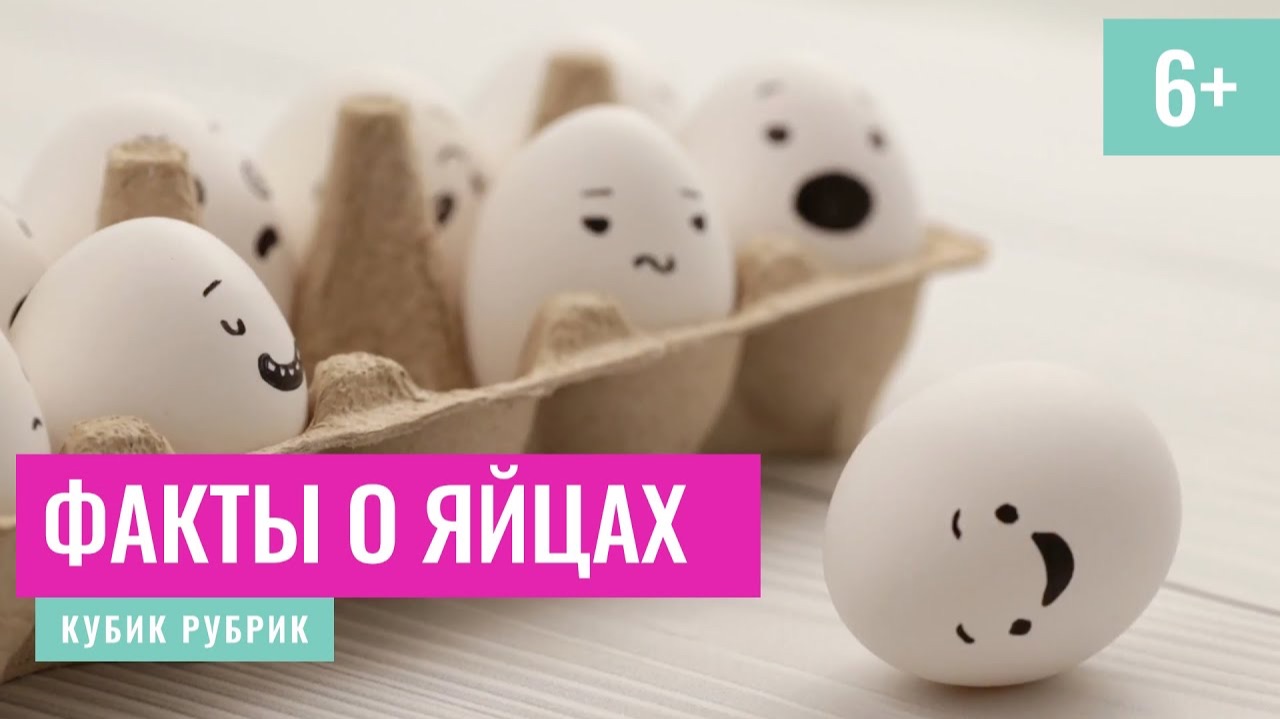 Суперлюбопытно узнать интересные факты о яйцах. Кубик Рубрик (6+)