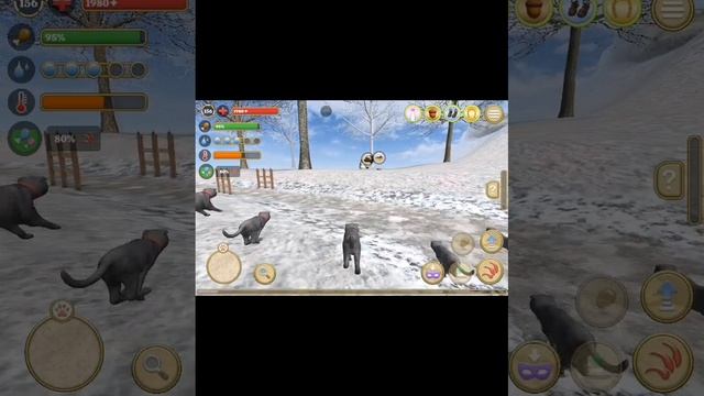 Играю в симулятор кошки за Шотландскую вислоухую кошку