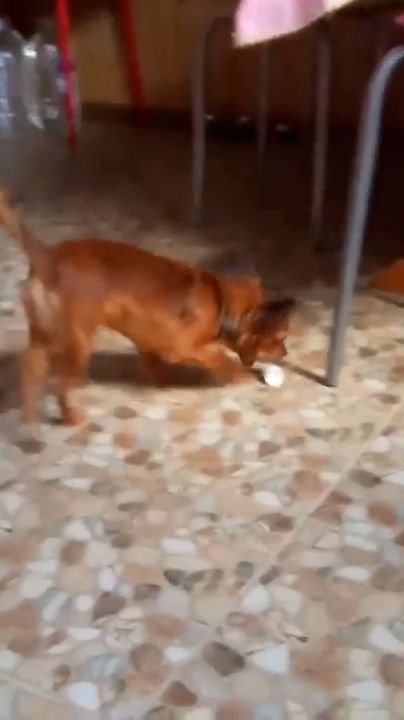 Это не футбол, это регби