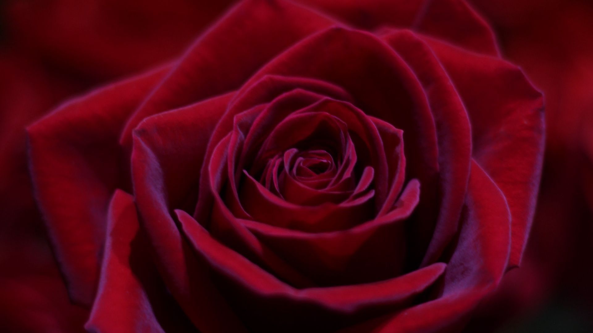 РИТУАЛ-ЧИСТКА 1 ЧАКРЫ - МУЛАДХАРА.