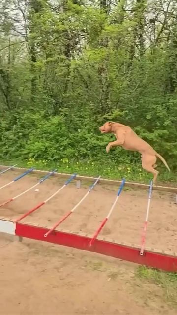 Вот это прыжок