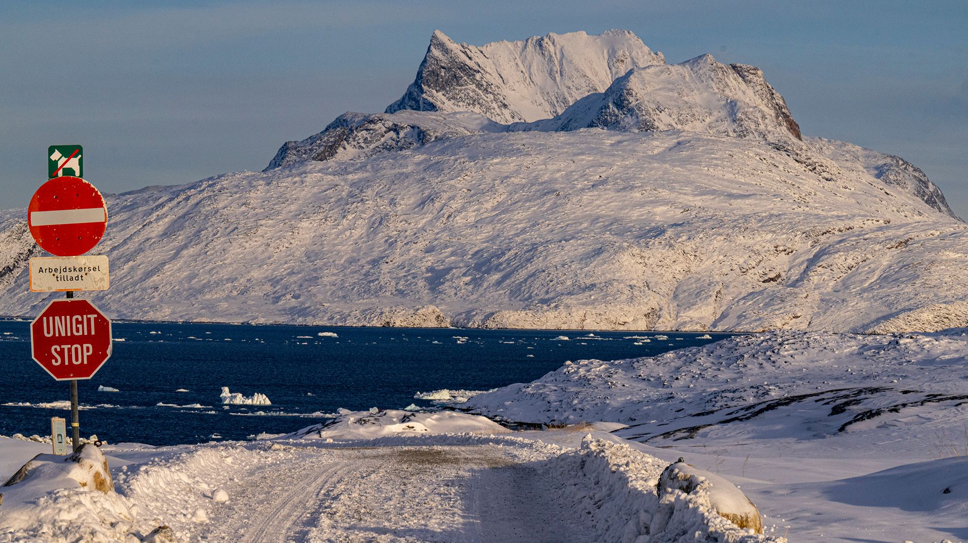 Гренландский вопрос: история и современность