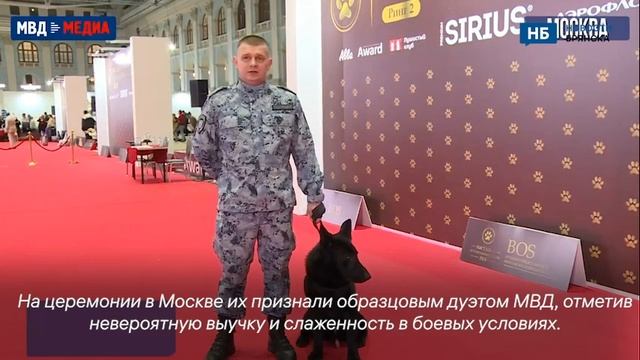 Брянский кинолог и его пёс помогли задержать диверсантов и стали лучшими в России