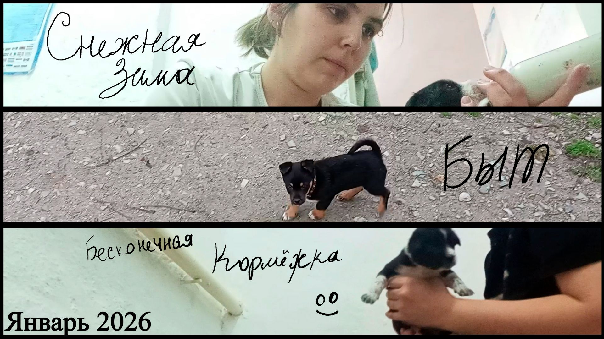 Певый январский влог 2026