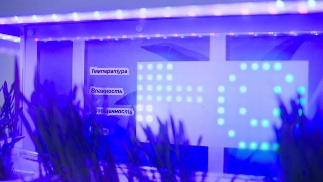 Образовательный набор «Экологика» М1 ЙоТик 32 для дошкольного и начального образования