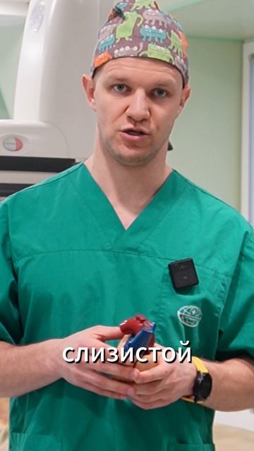 Ты никогда не поможешь своему сердцу, если убьёшь желудок