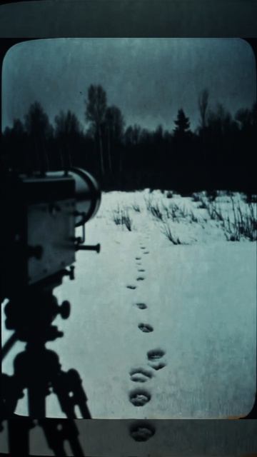 Дело №418-К: Следы Безликих