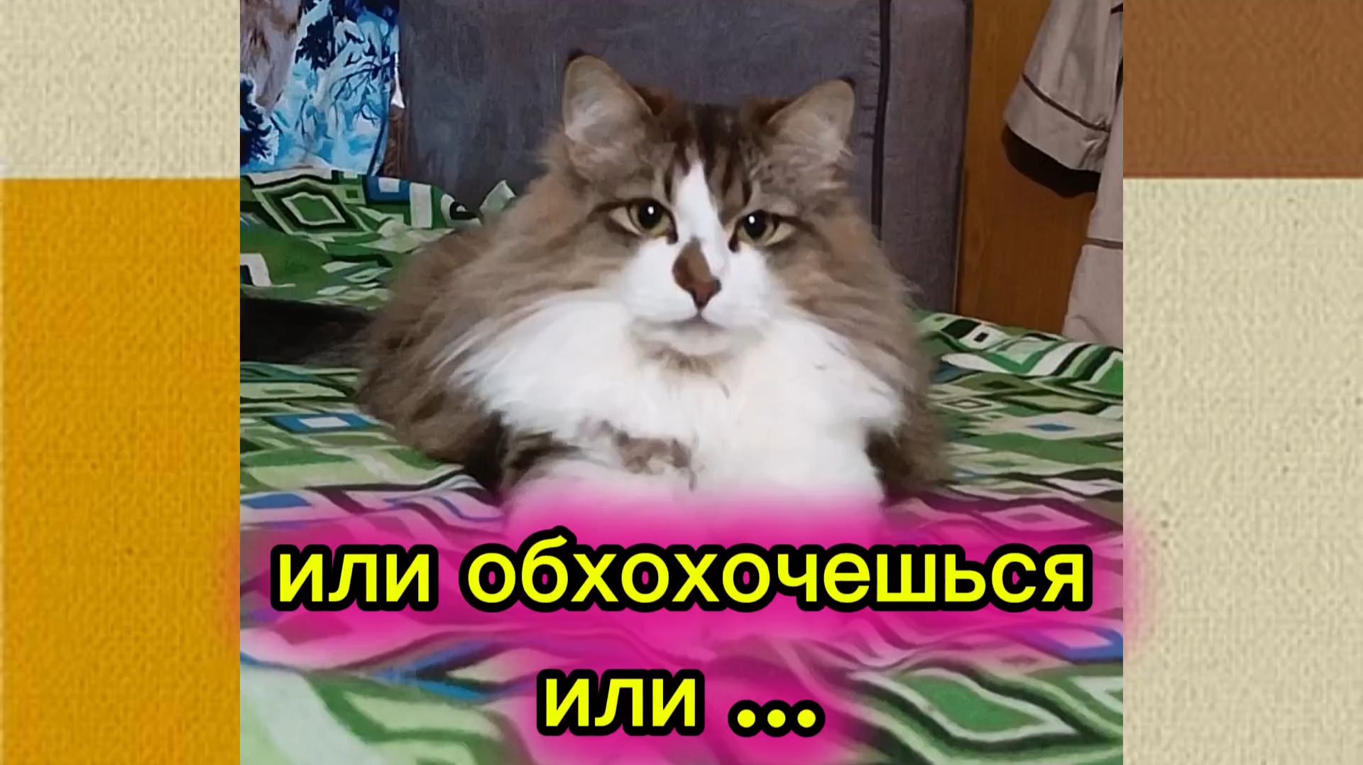 КОШКИ С ОЗВУЧКОЙ.