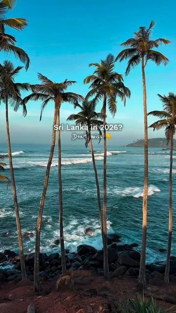 Шри-Ланка 🇱🇰