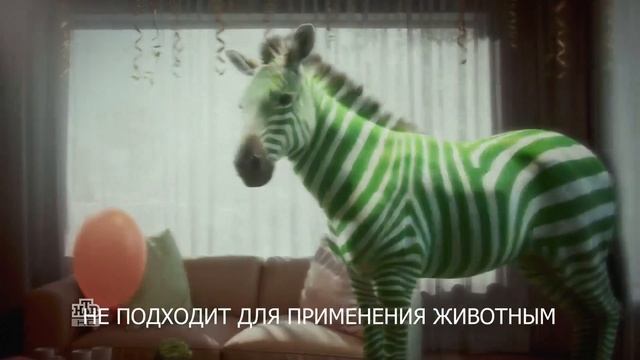 Полисорб - Зелёная зебра (2025)