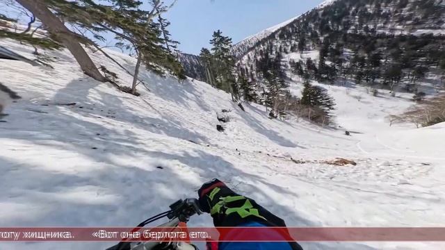 18.02.2026 Сахалинские блоги. SAKHMX. Следы медведя приведут нас к берлоге