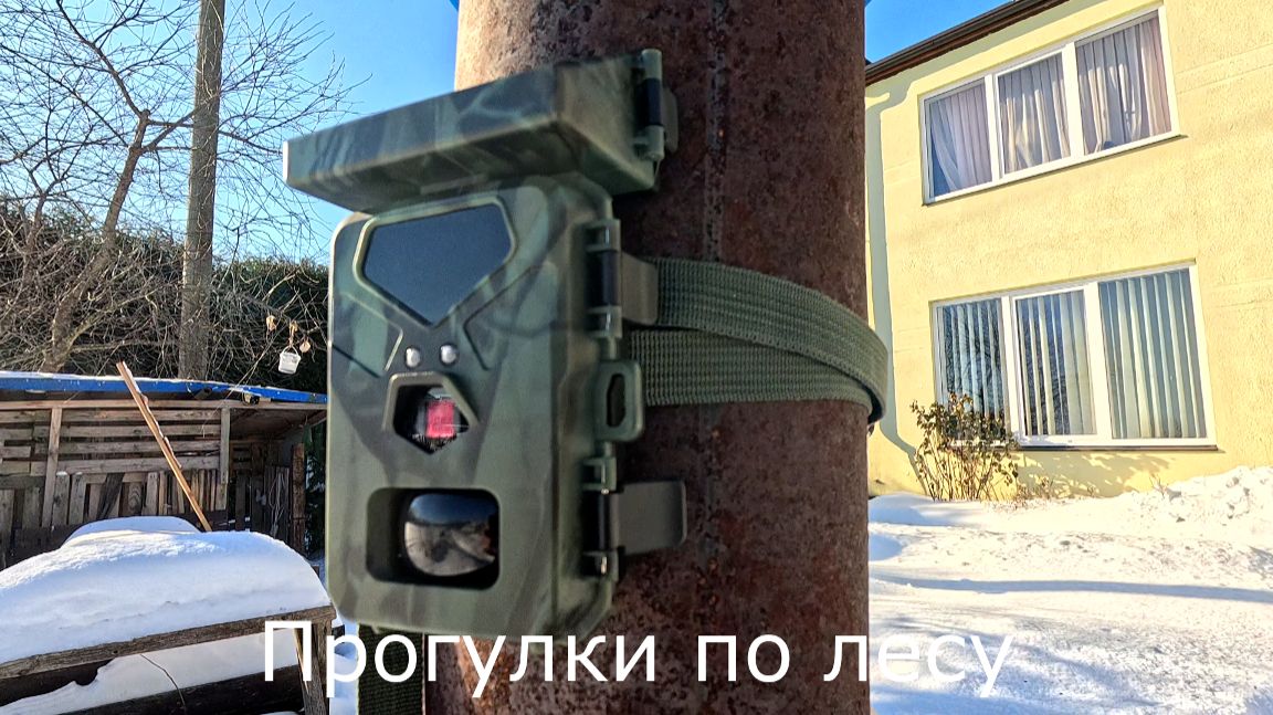 Тест фотоловушки MiNi700W с солнечной панелью на морозе -20 градусов.