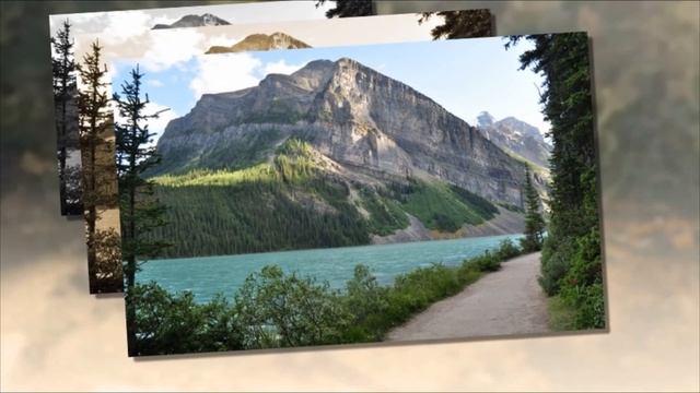 Skin-Divers - Working Model