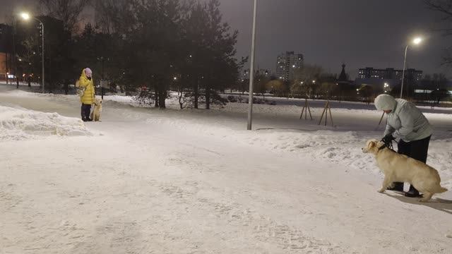 Морти и Ахиллес 6 февраля 2026 Новожиловский парк