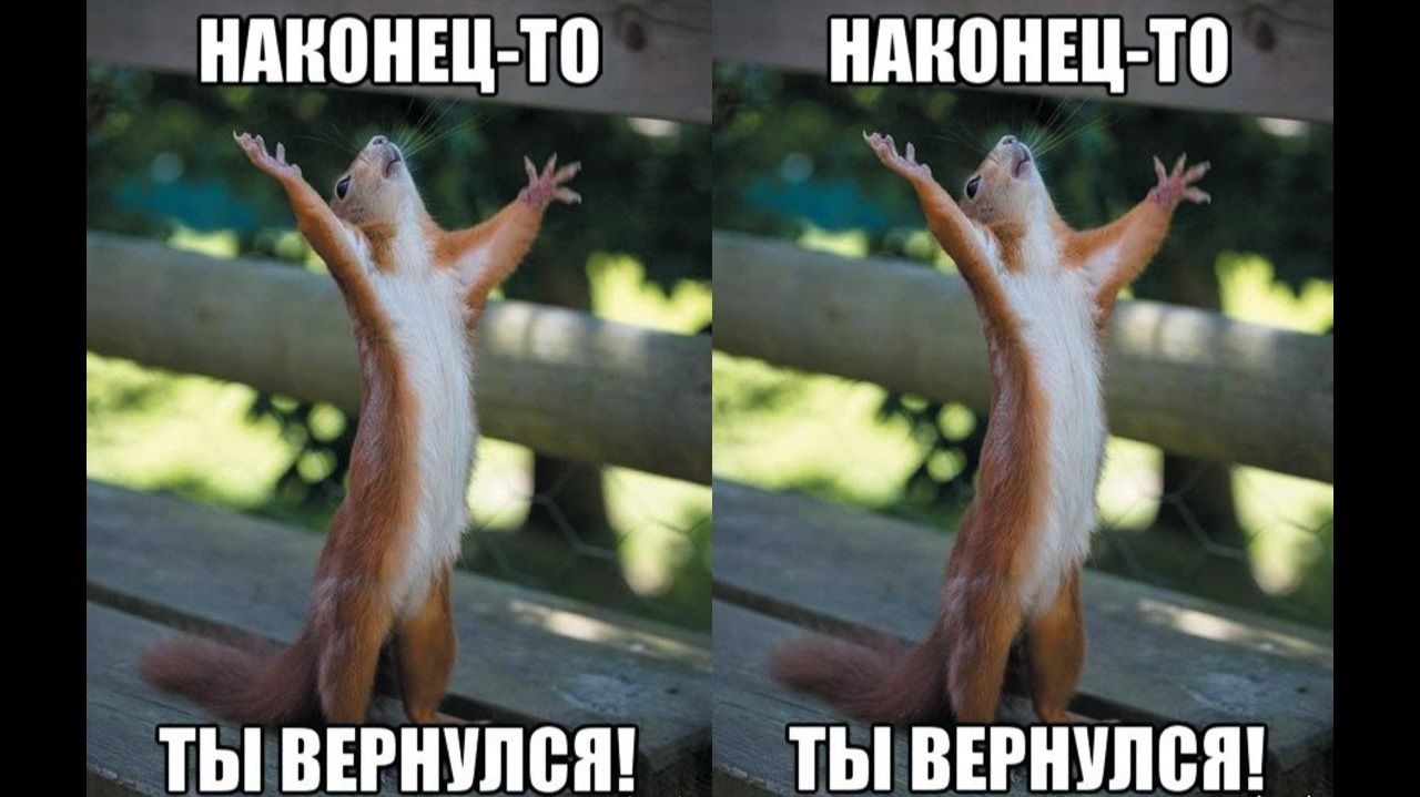 Эфир 17.02.2026. Снова стримы в 19:00! Переговоры в Женеве. Телега. Обстрелы. Иран и США. На фронтах