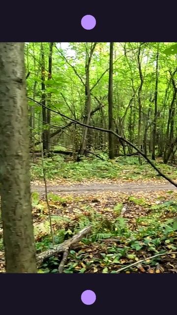 ЭЛЕКТРОБАЙК TALARIA STING TL4000 | ПРЁМ