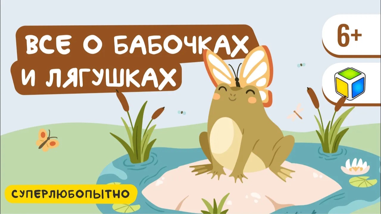 Изучи жизненные циклы бабочки и лягушки. Кубик Рубрик (6+)