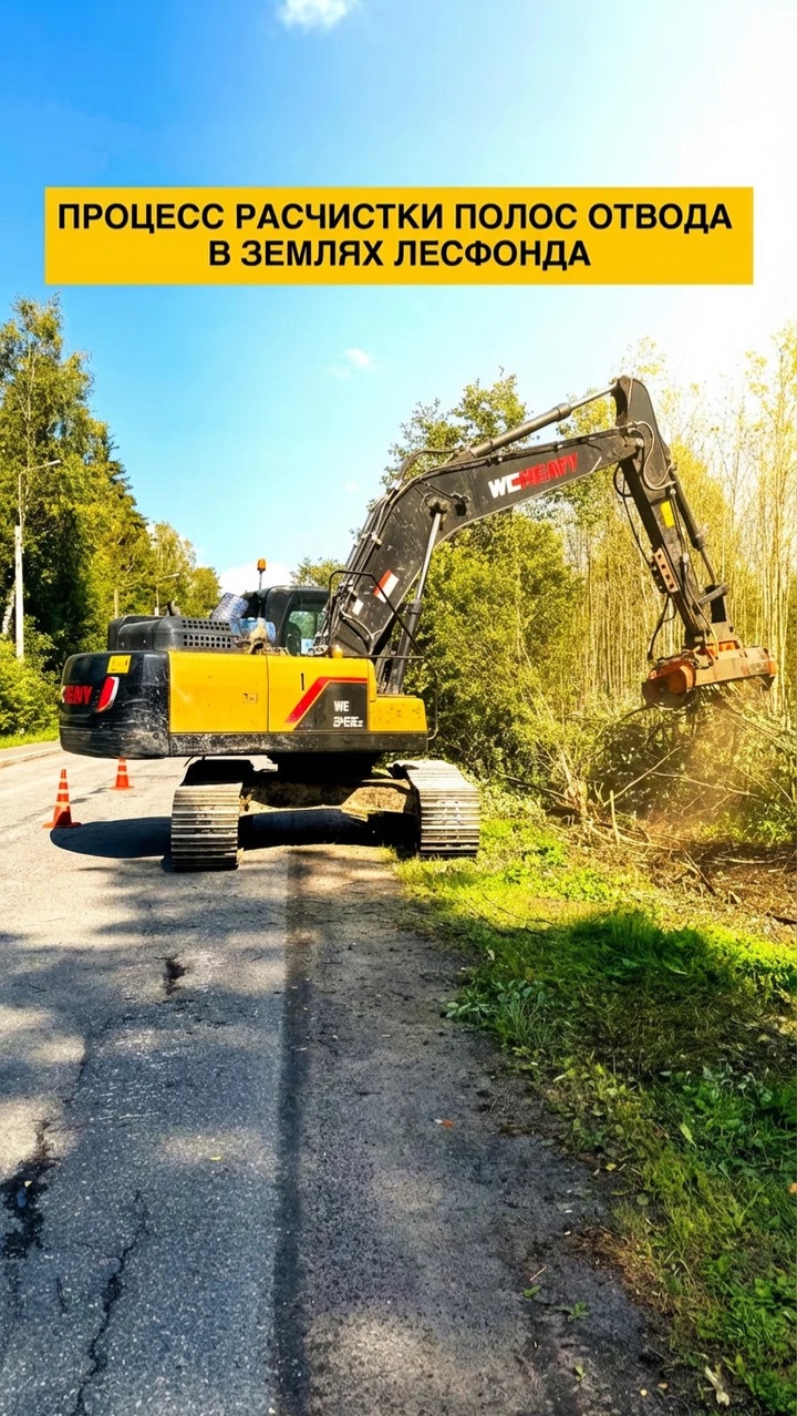 Расчистка в землях лесфонда