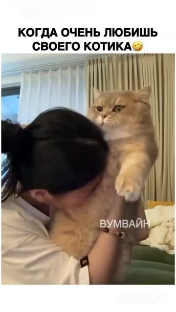 Когда любишь...