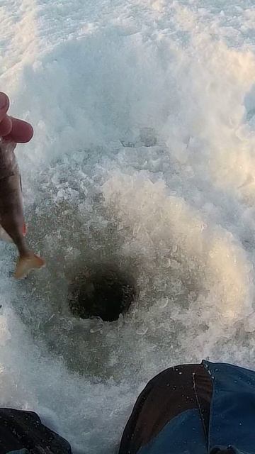 Рыбалка на озере! Попался мелкий окунь! Ловля на мормышку в глухозимье!