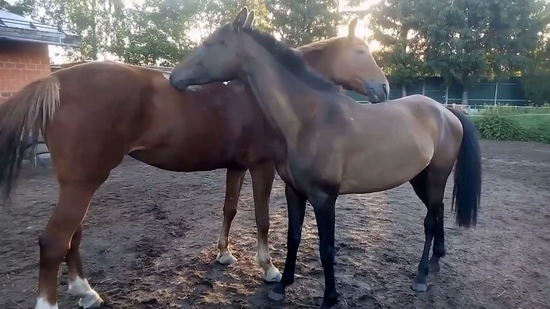 Доктор им не нужен