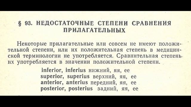 Латынь Основы лексики и грамматики