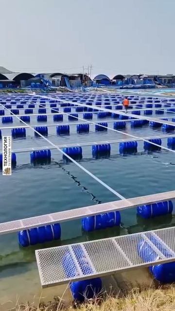 1722. Модули плавучести на основе пластиковых емкостей.