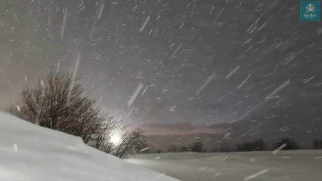 Почему сейчас неважна конкуренция | Вопрос | Ответ | Татьяна Бекаревич