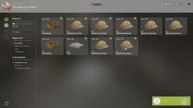 РР4 Вьюнок. Ракушки.