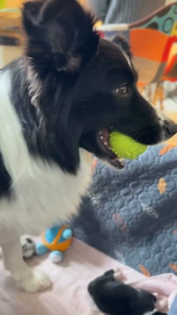 Ну и зачем я вас рожала