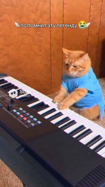 кто помнит эту легенду 😭