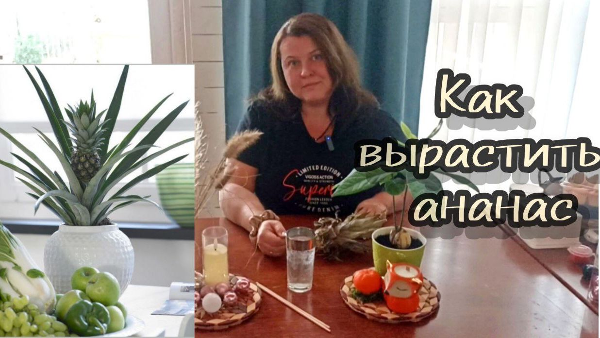 Сажаем ананас из _хохолка_.  Снег кружится, летает, летает...Домашний влог #9