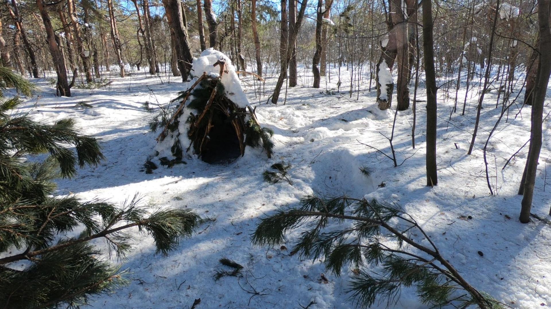 Солнечная Саратовская Кумысная поляна 17.02.2026