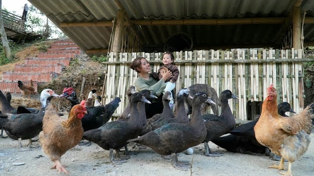 Мама поневоле. Дуонг. Сбор урожая бамбука для продажи. Проектирование курятника из бамбука. Серия 54