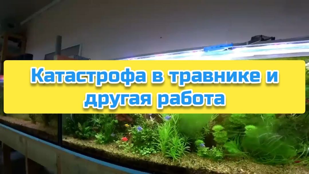 Катастрофа в травнике и другая работа