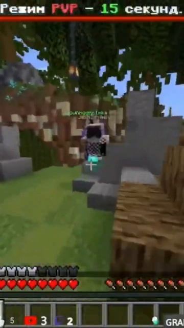 Minecraft Лучшее #1330