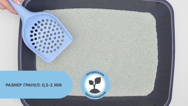 CN14kE3lFLNMDenwfU4l+9msX9e_uAv4