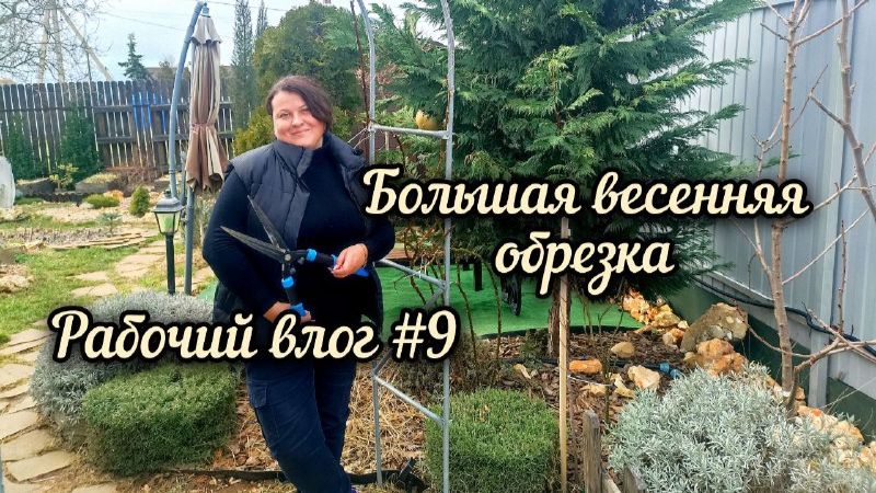 Большая стрижка. Начало садового сезона 2026 . Обрезка роз и злаков.