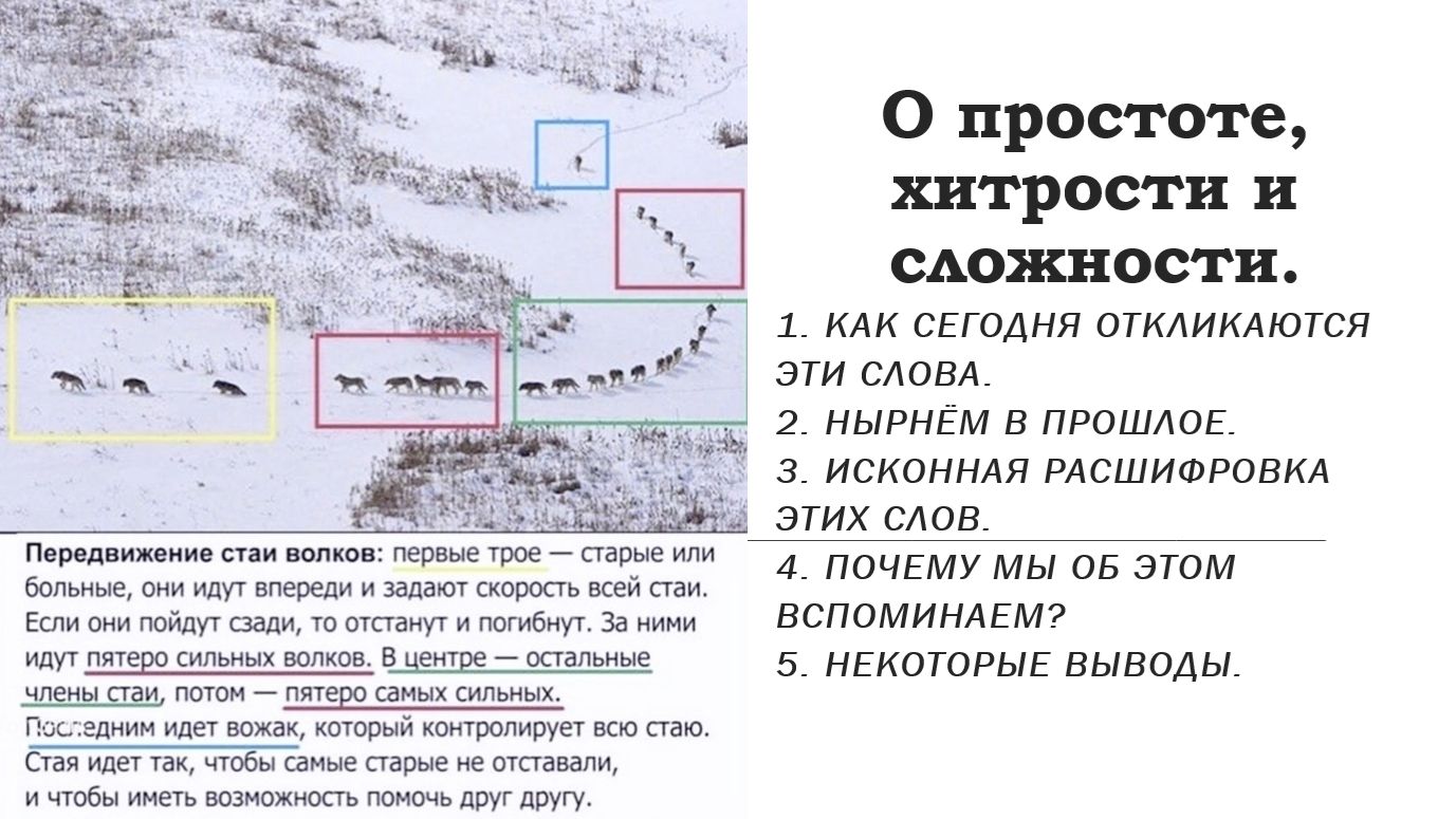 О простоте, хитрости и сложности.