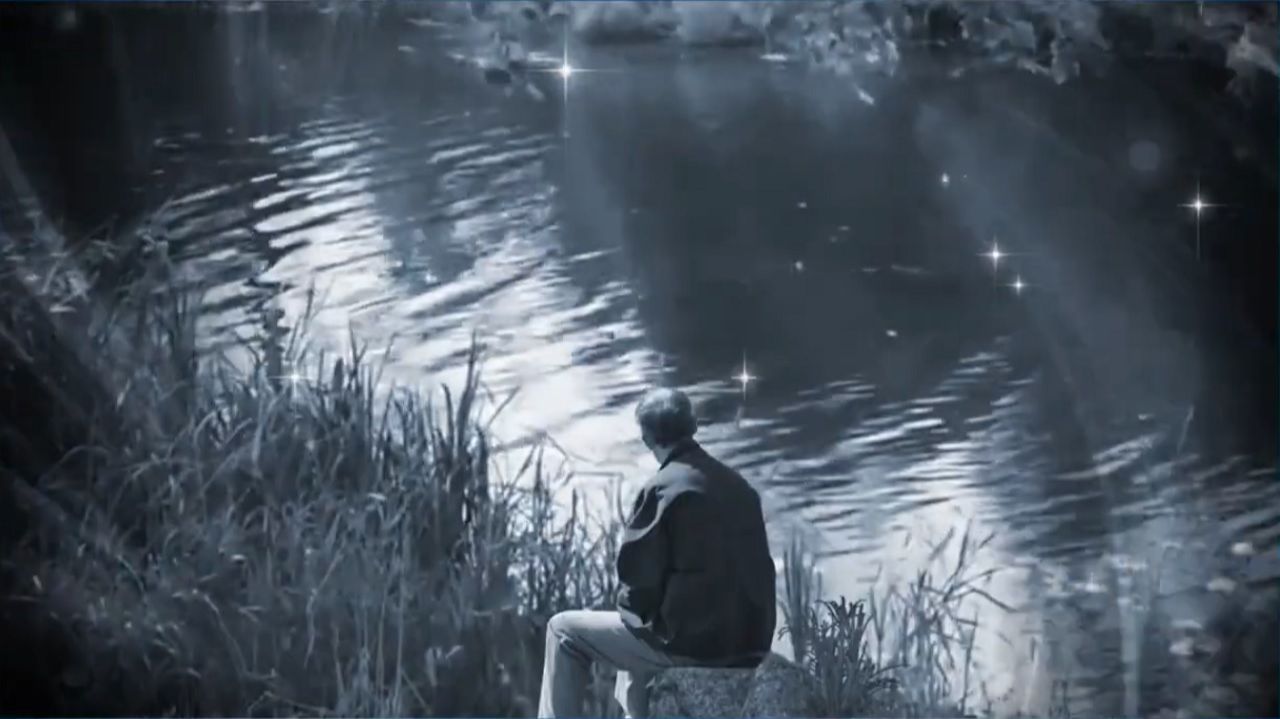 КАК ЖАЛЬ, ЧТО НЕ БЕГУТ ОБРАТНО РЕКИ - исходник