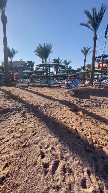 Как сэкономить на туре в Турцию и Египет?