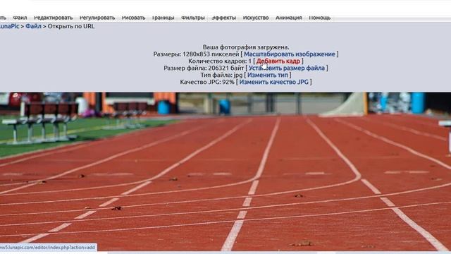 Редактор Лунапик