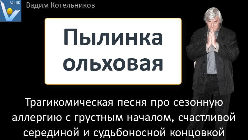 "ПЫЛИНКА ОЛЬХОВАЯ" - трагикомическая песня о сезонной аллергии со смыслом и счастливым концом. ВадиК