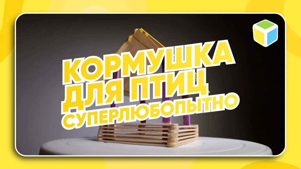 Сделай кормушку для птиц своими руками. Суперлюбопытно!